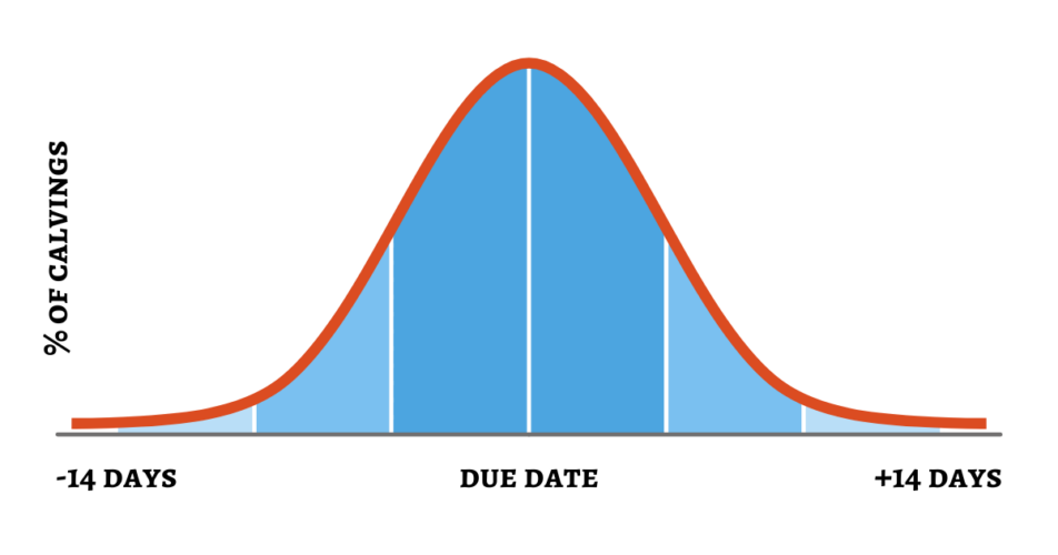 Breed with Confidence: Free Jersey Gestation Calendar for Dairy Farmers ...